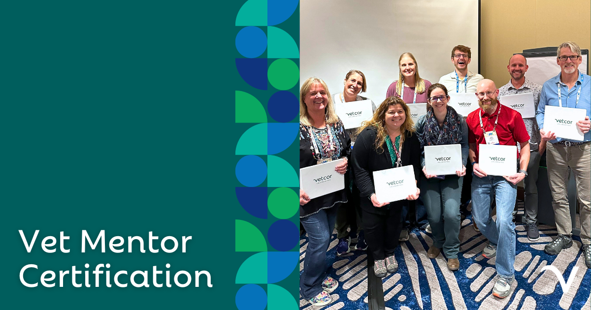 veterinary mentors | veterinary mentorship